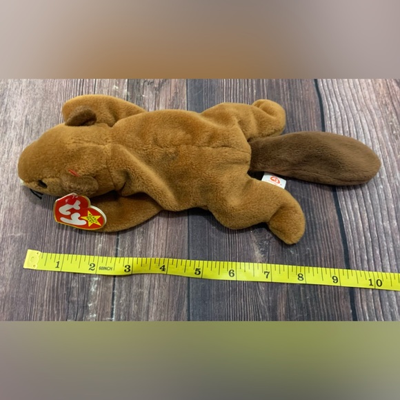 Ty | Toys | Ty Beanie Baby Bucky The Beaver Stuffed Animal | Poshmark